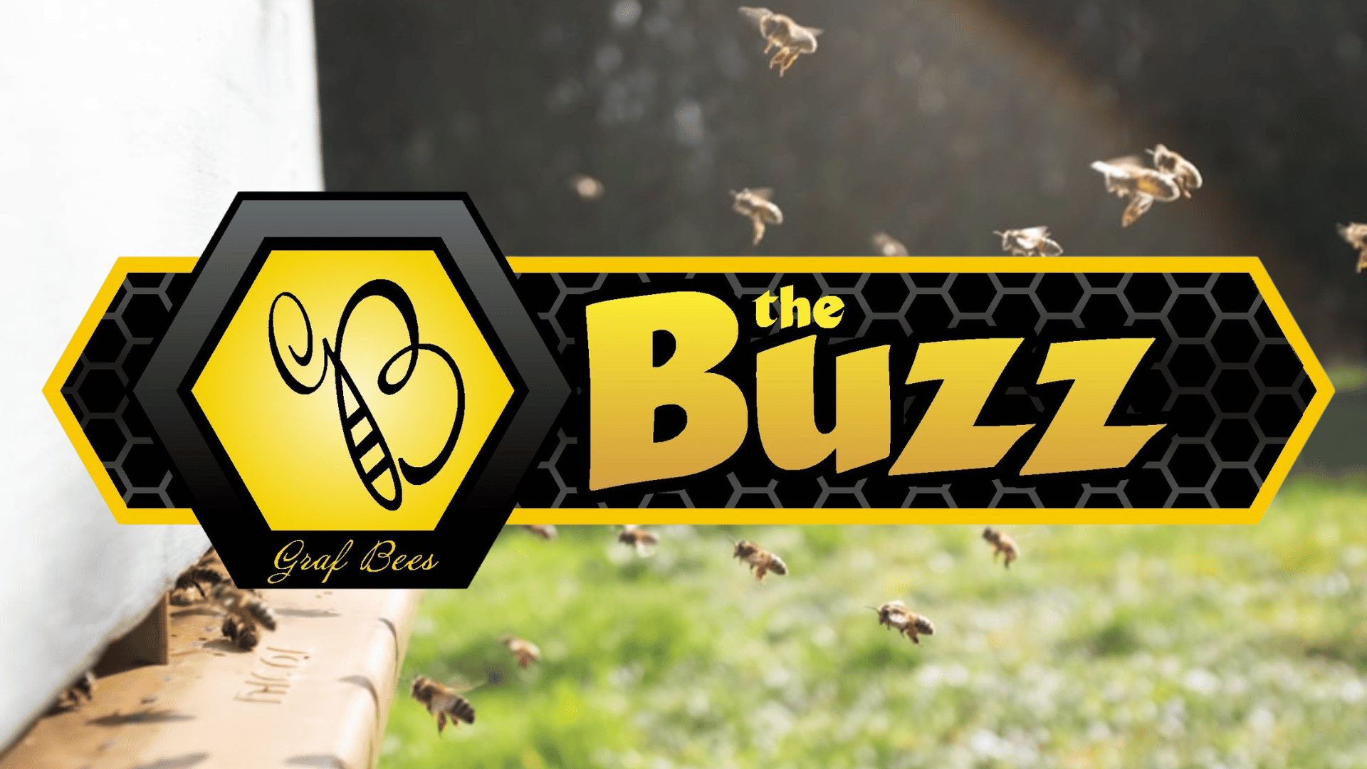 Collections – Graf Bees