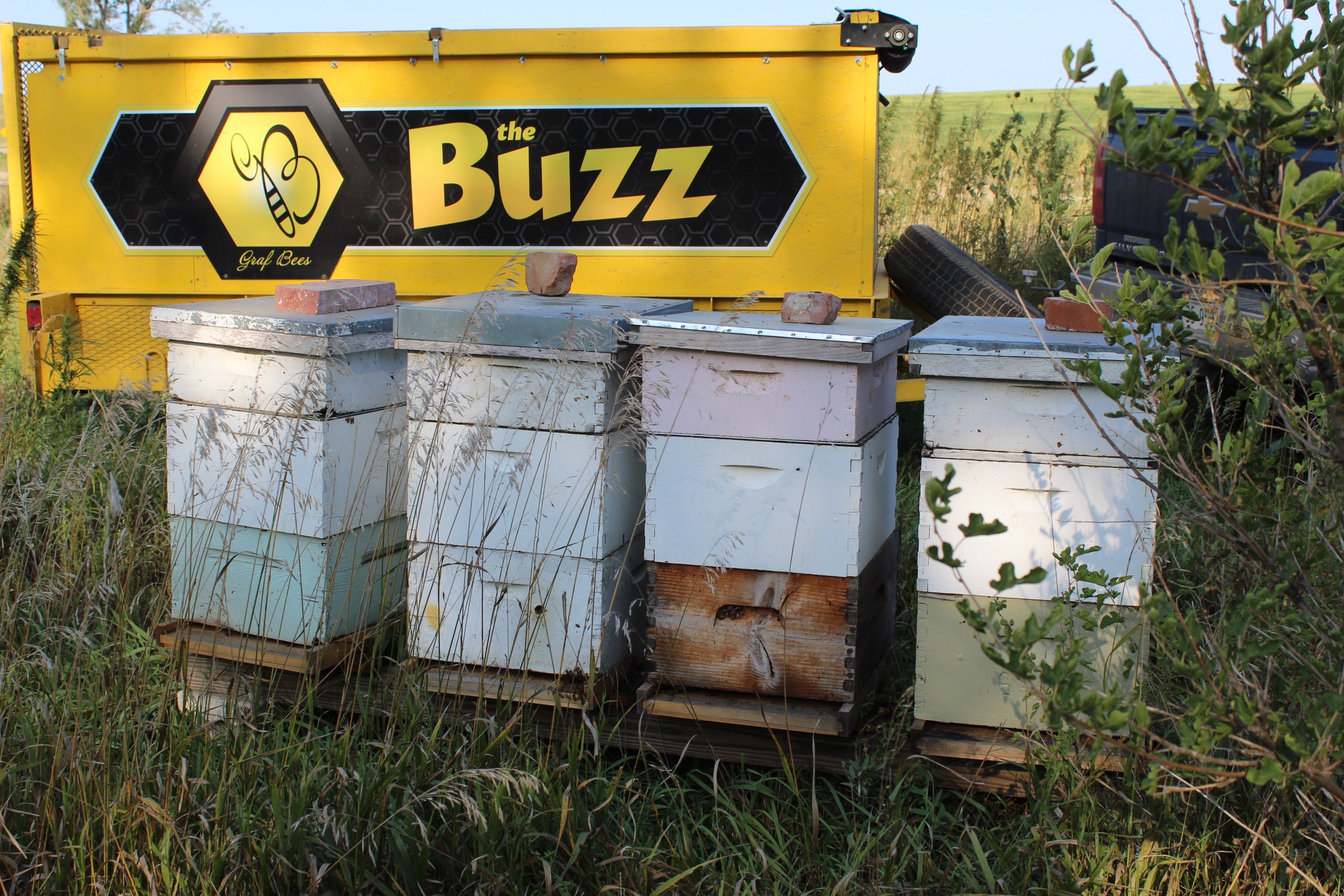 Graf Bees - Raw Honey Straight From The Hive