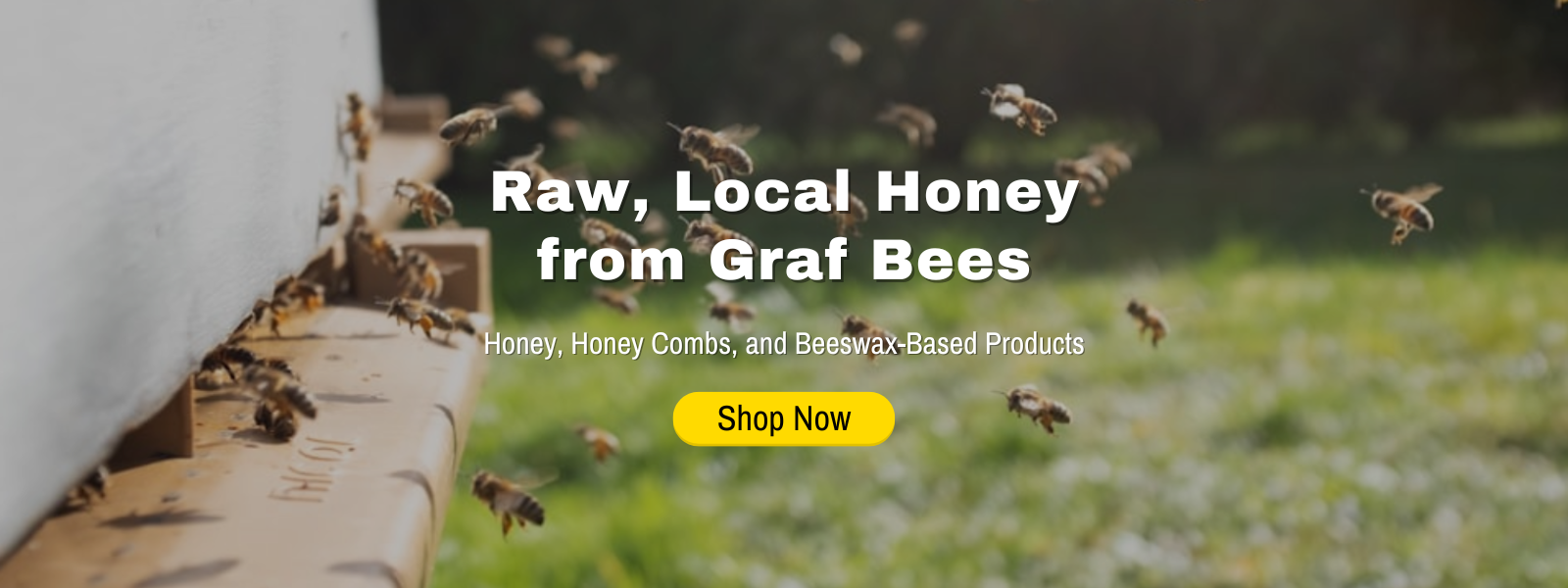 Graf Bees - Raw Honey Straight From The Hive